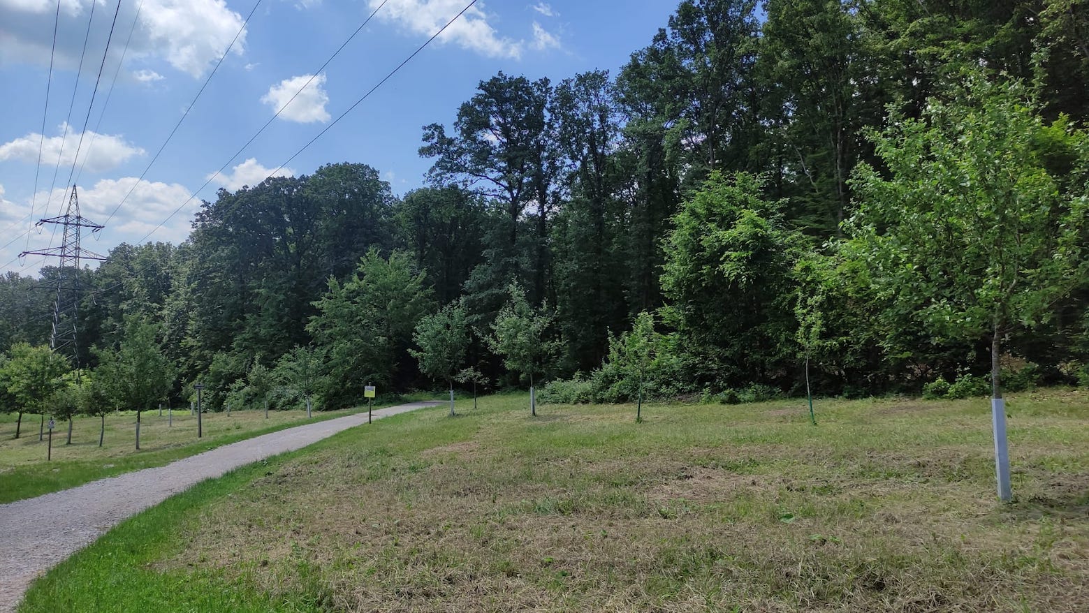 Visitare la riserva del Lainzer Tiergarten a Vienna – Usa La Valigia