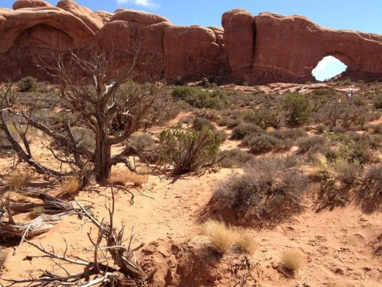 Arches National Park: un viaggio nell'eterea bellezza del deserto rosso ...